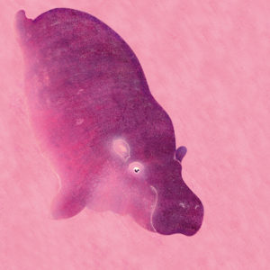 ホッと一息。動物の絵。